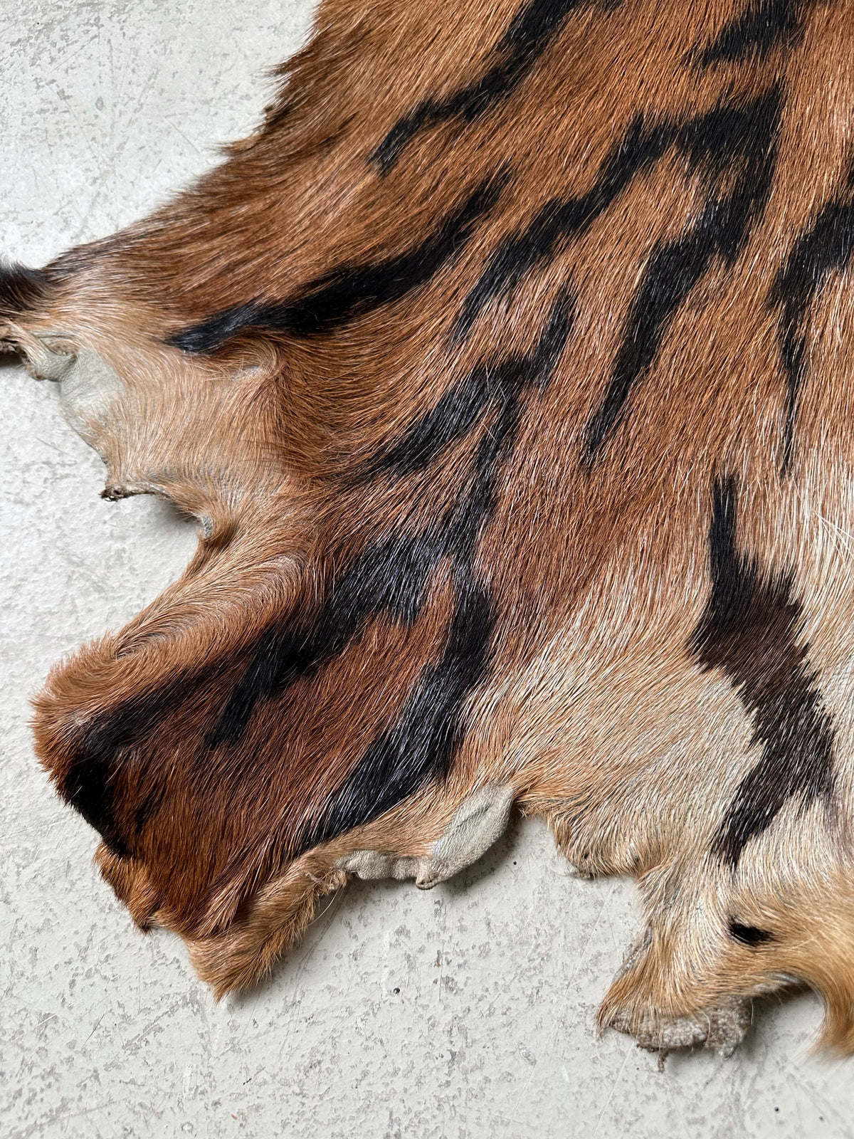 HAND PAINTED GOAT HIDE, 3x3.6 | Maison Singulier